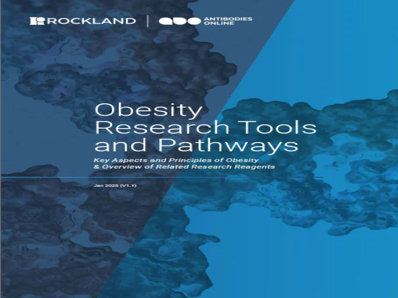Obesity Research Tools and Pathways: Handbook