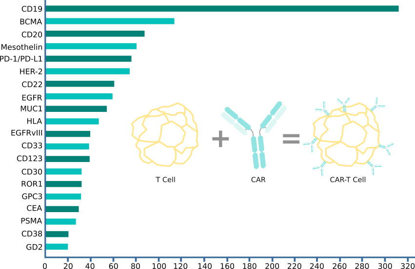 CAR-T Immunotherapy, Kits, Antibodies, Tools | www.antibodies-online.com